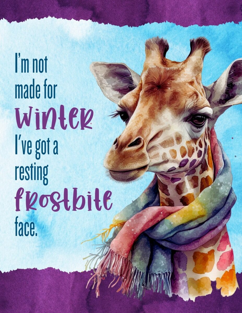 Winter Planner Covers or Dashboards - Free Printables!