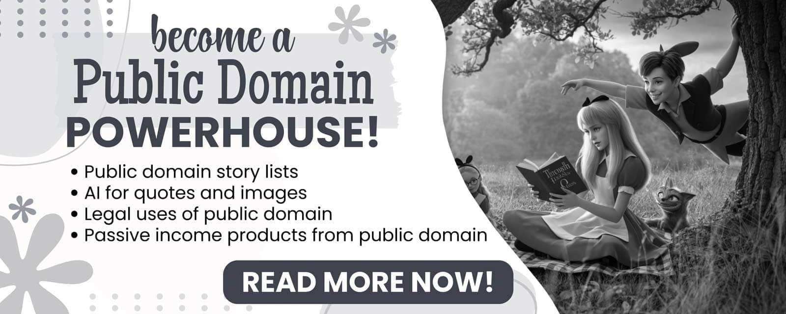 Leveraging Free Public Domain for Commercial Use