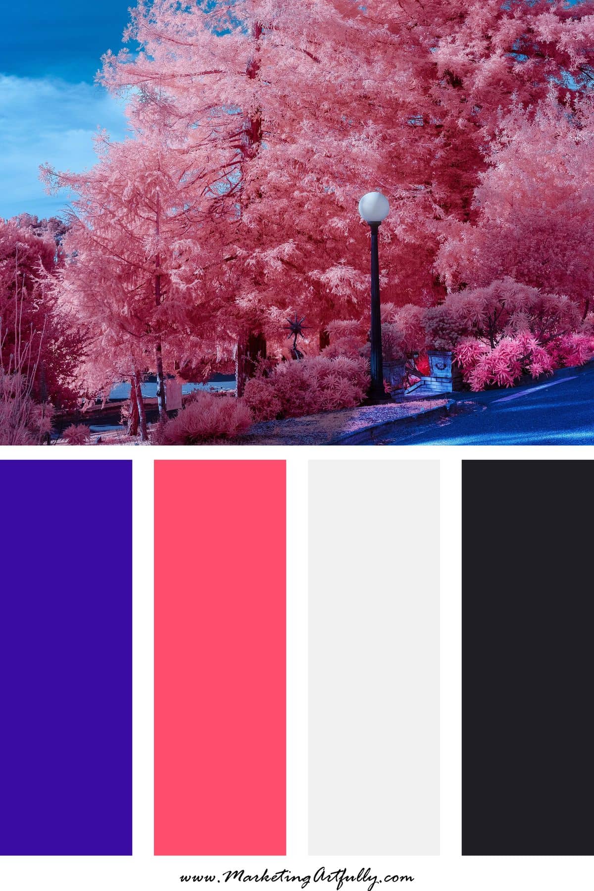 11 Bold Branding Color Palettes That Stop the Scroll